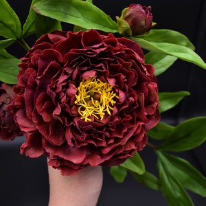 Burgundy Peony, Peonies Are From Polymer Clay ,handmade Bouquet ...