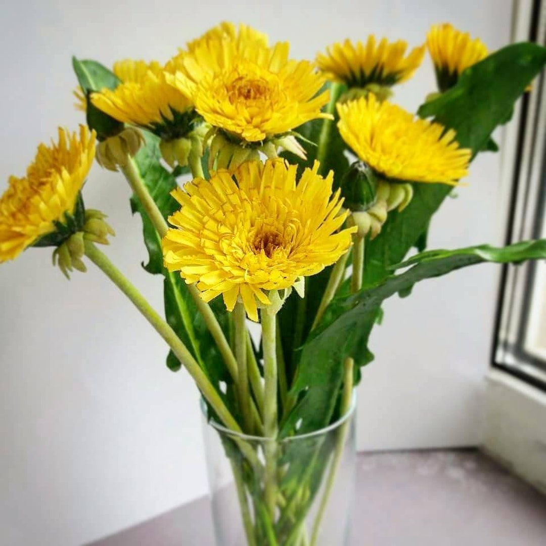 Dandelions Porcelain Bouquet Yellow Dandelions Handmade, Dandelion From ...