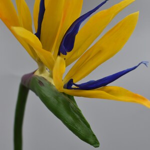 Strelitzia Clay Strelitzia Cold Porcelain Yellow Bird of Paradise ...