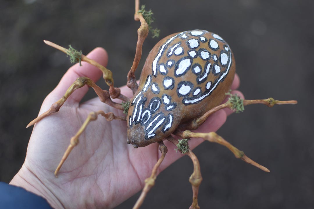 Handmade Cold Porcelain Spider: Realistic Halloween Decoration - Etsy