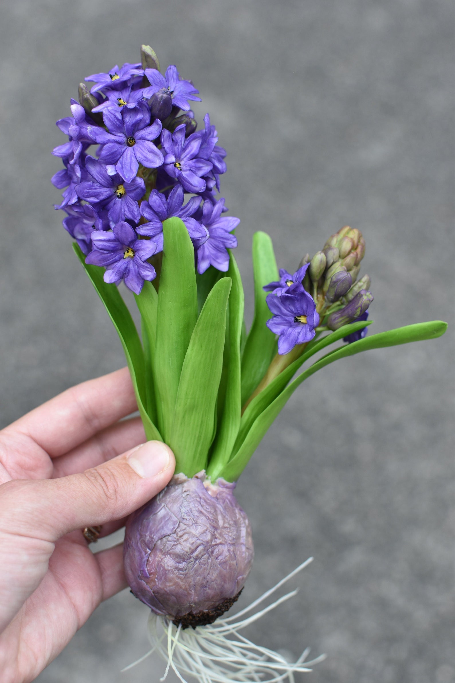 Hyacinth Real Touch Violet Hyacinth Hand Sculpted Hyacinth - Etsy