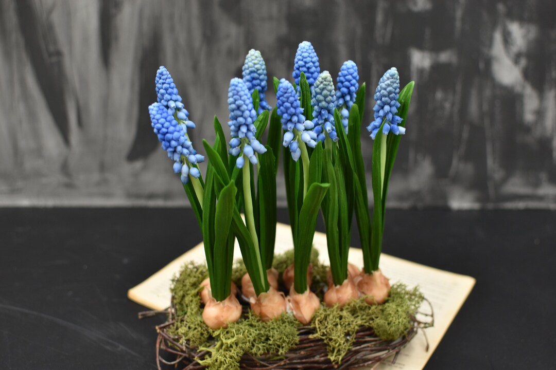 Muscari Spring Arrangement Cold Porcelain Flowers Muscari for Gift Real ...