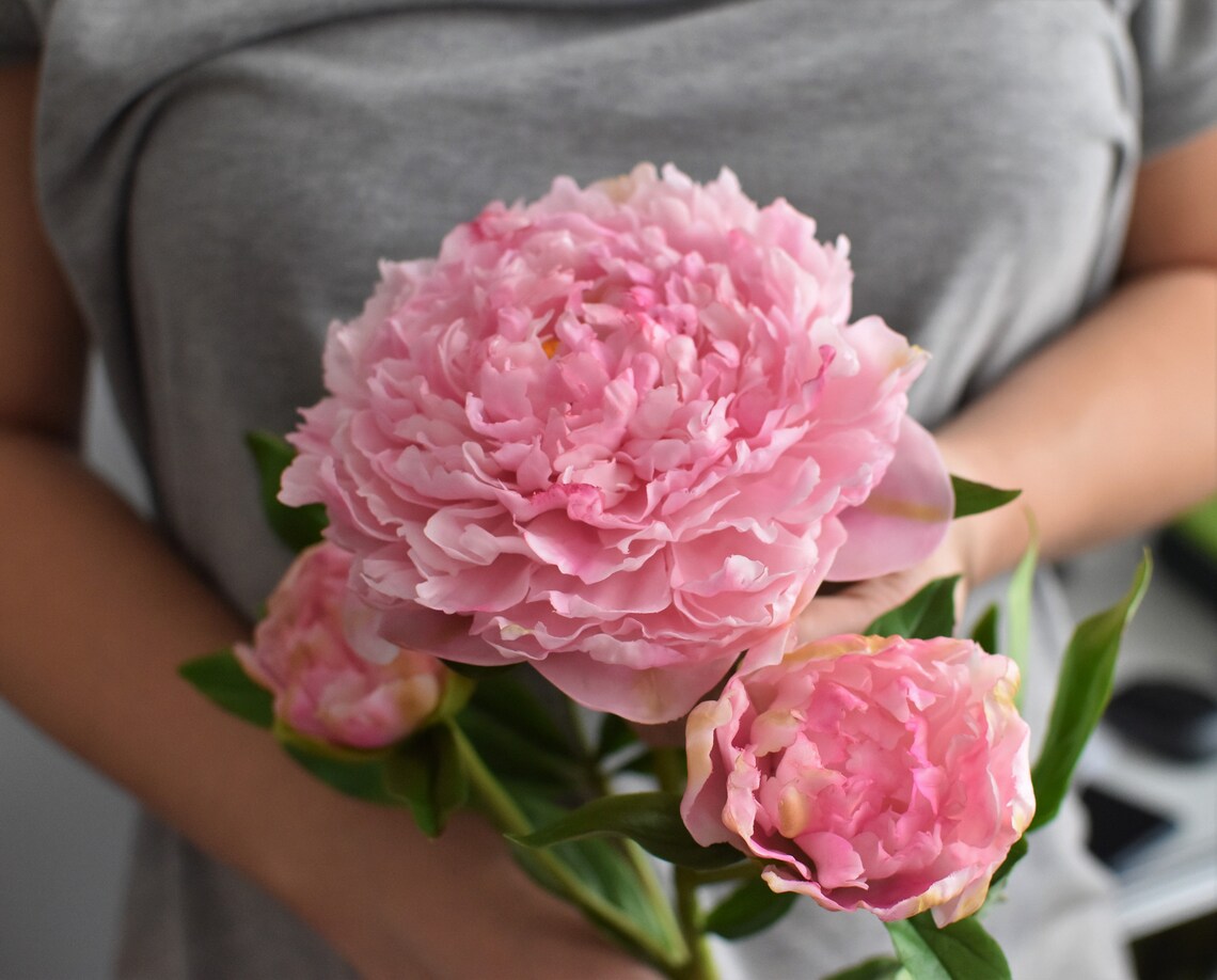 Pink peony from cold porcelain Clay peony Porcelain flowers | Etsy