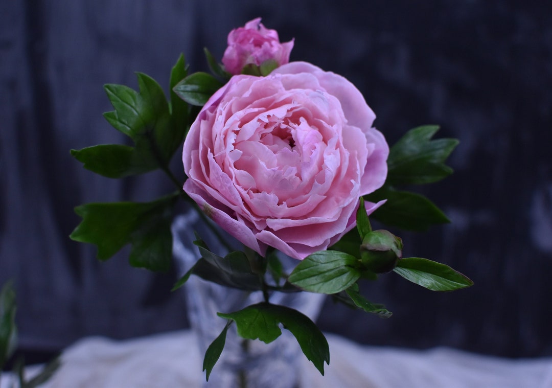 Pink Peony From Cold Porcelain Peony Bouquet Real Touch Flowers Clay ...