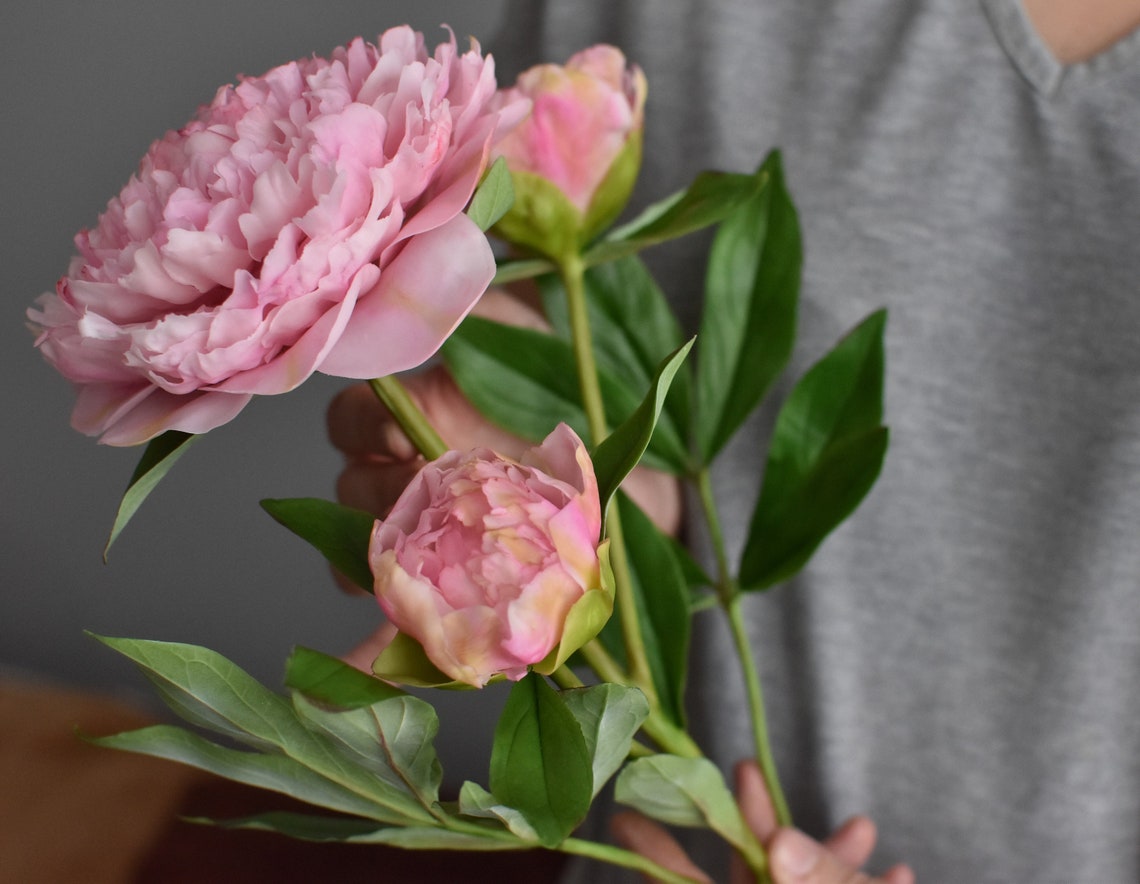 Pink peony from cold porcelain Clay peony Porcelain flowers | Etsy