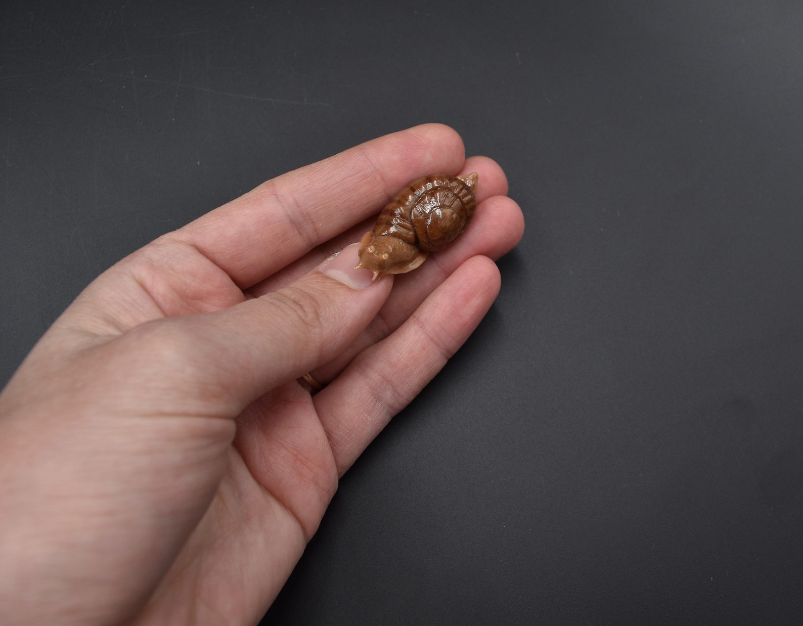 Miniature Snails Polymer Clay Accessories for the Dollhouse Snail ...