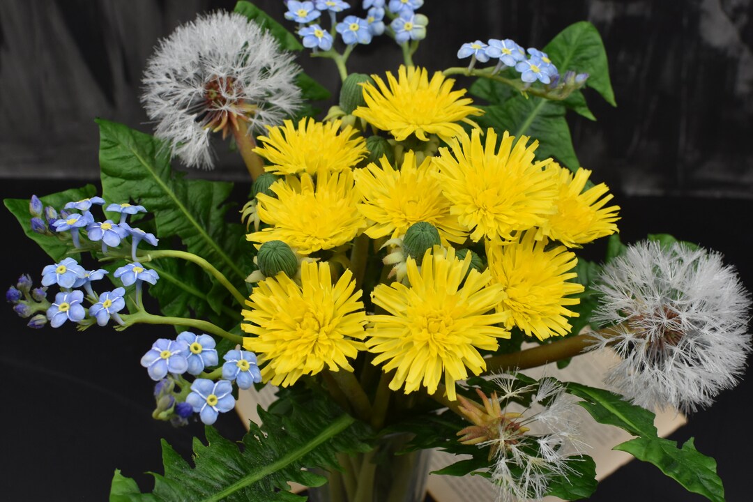 Porcelain Dandelion Bouquet: Handmade Clay Forget-me-nots - Etsy