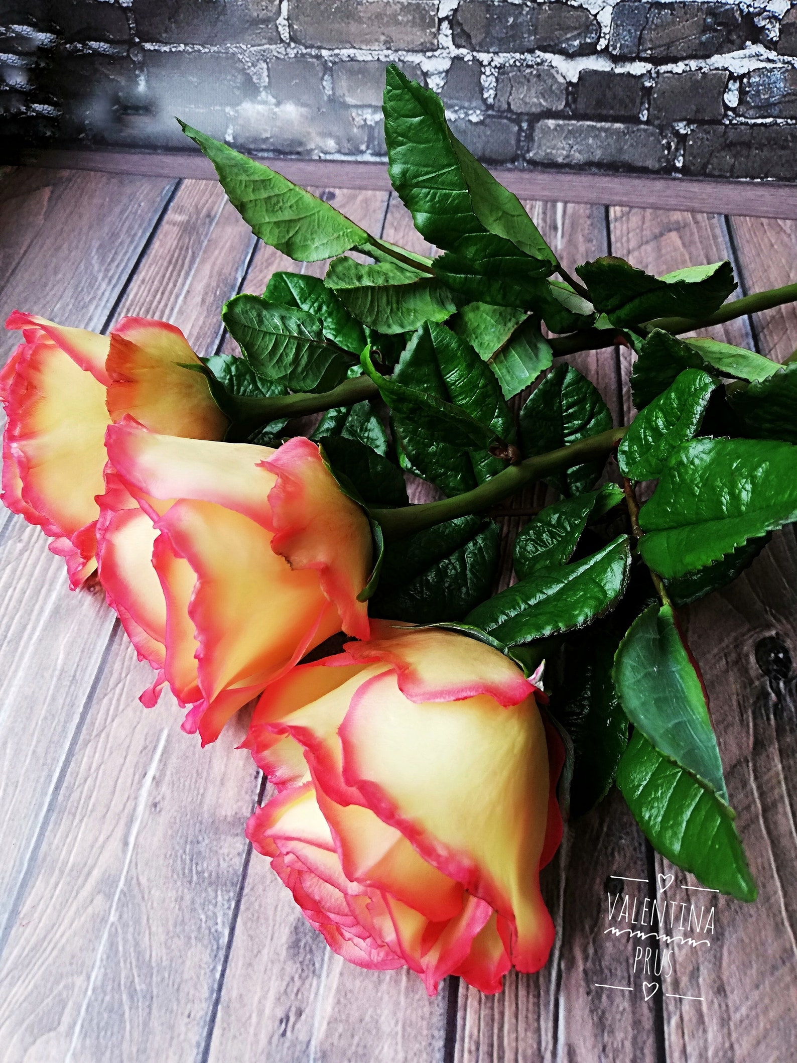 Rose bush roses rose flower wild flowers flowers for wife | Etsy