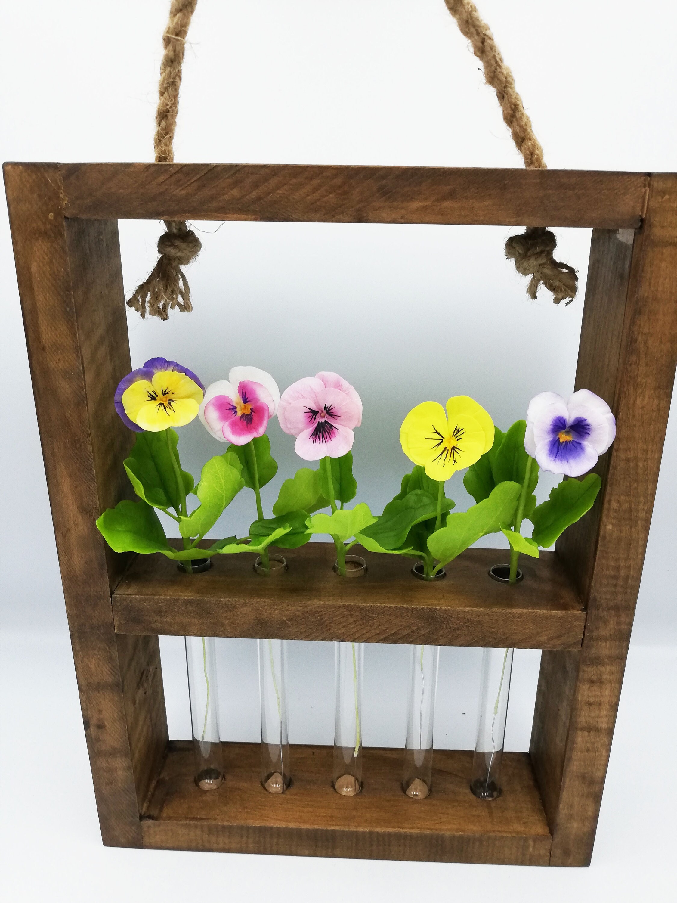 Pansies Viola in a Frame With Flasks Bouquet Flower Arrangements Clay ...