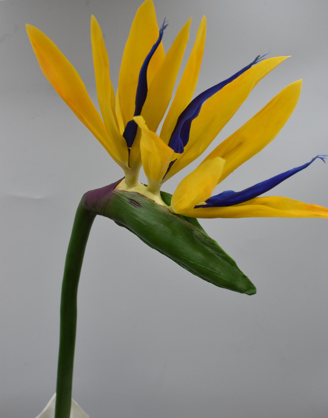Strelitzia Clay Strelitzia Cold Porcelain Yellow Bird of Paradise ...