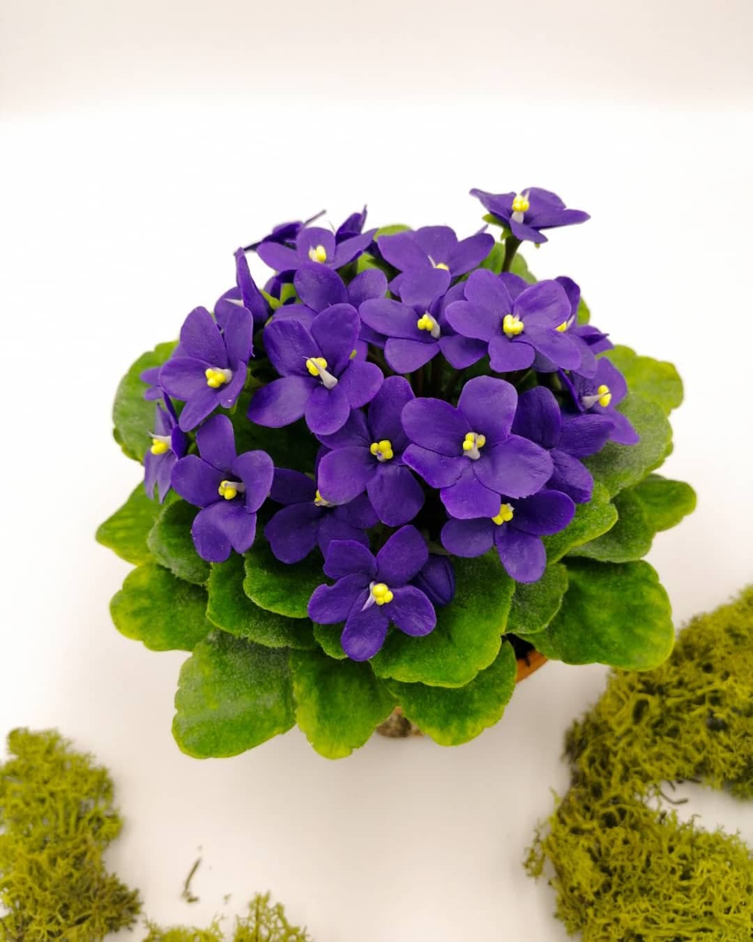 Violet in the Pot-polymer Clay Flower-cold Porcelain - Etsy