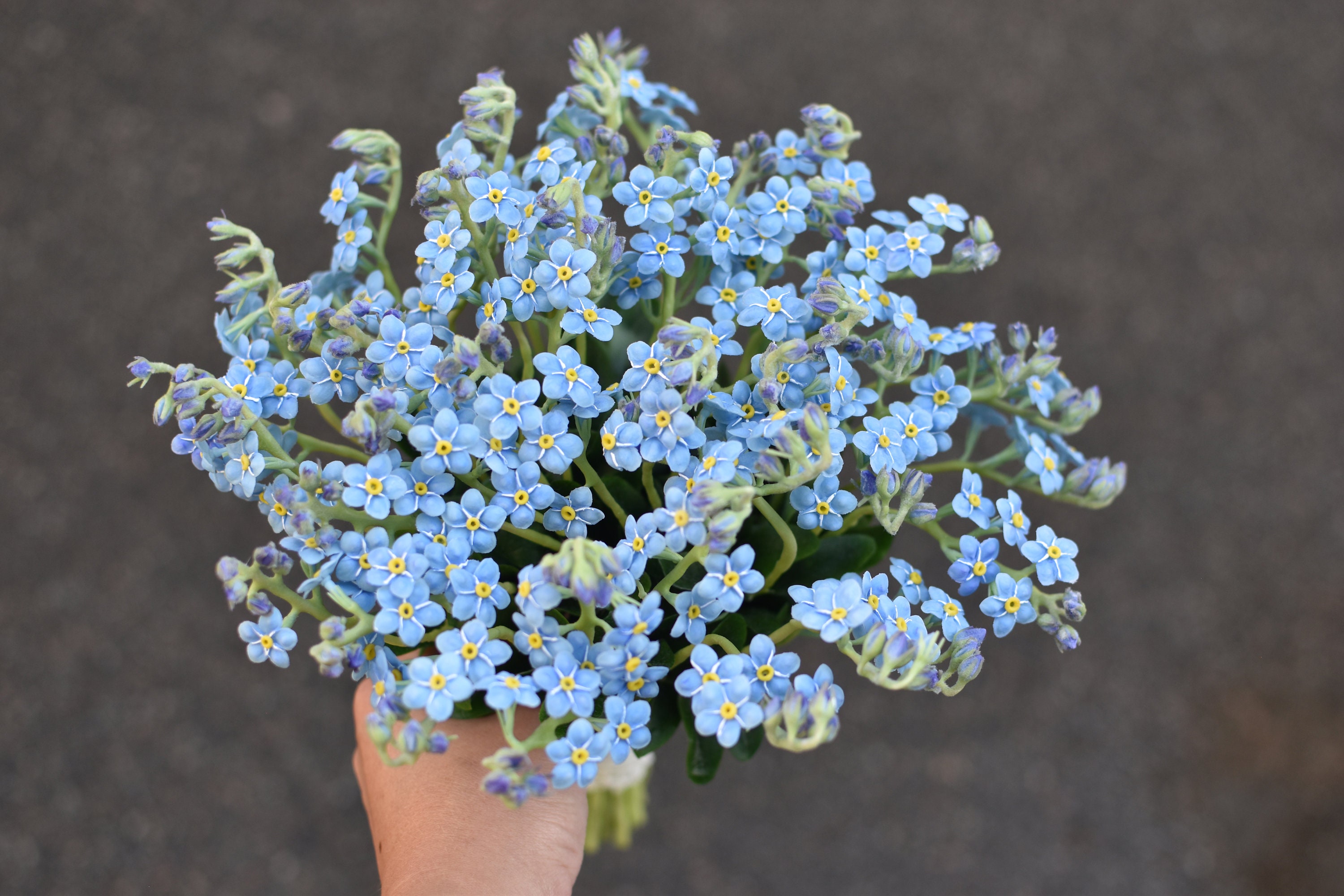 Forget Me Not Wedding Bouquet