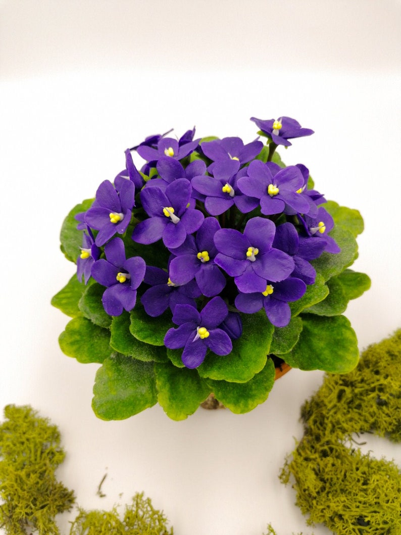 Violet in the Pot-polymer Clay Flower-cold Porcelain | Etsy