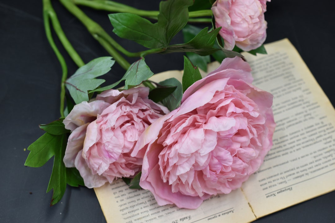 Pink Peony Cold Porcelain Bouquet Peony Clay Flowers Real Touch Flowers ...