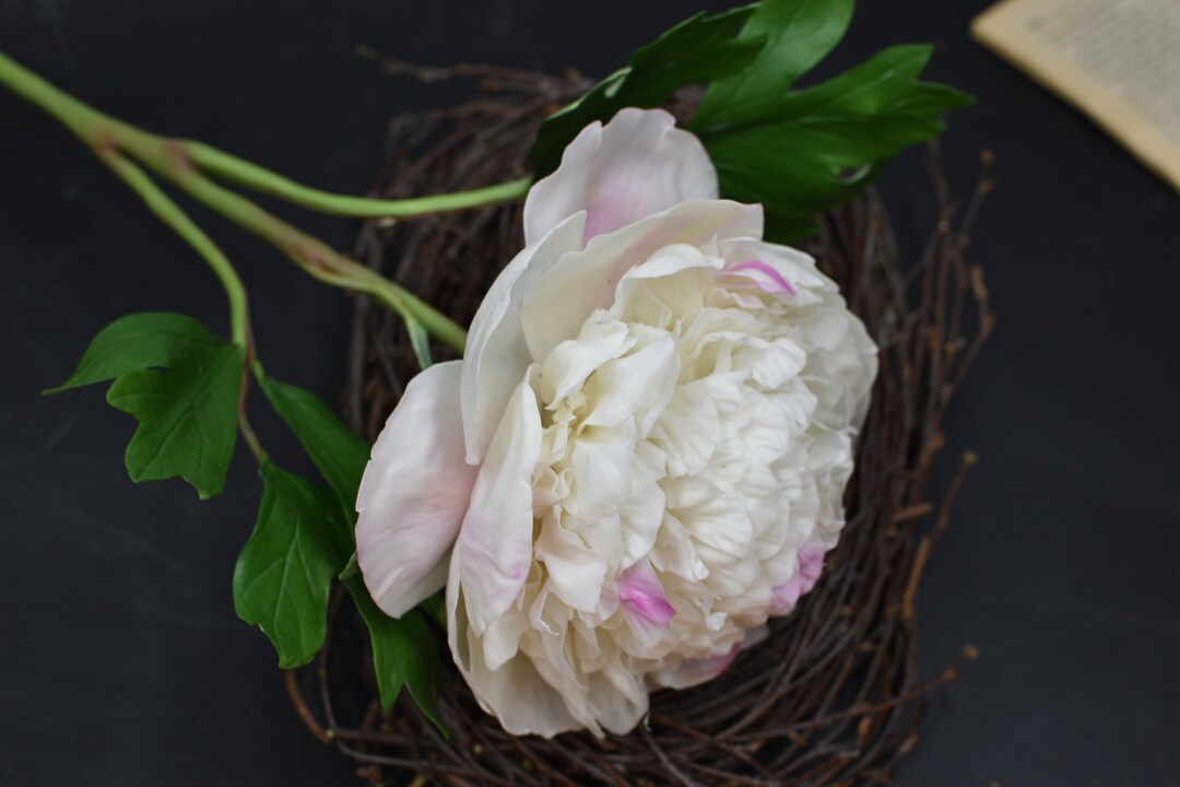 White Peony Cold Porcelain Botanical Sculpture Peony Branch Realistic ...