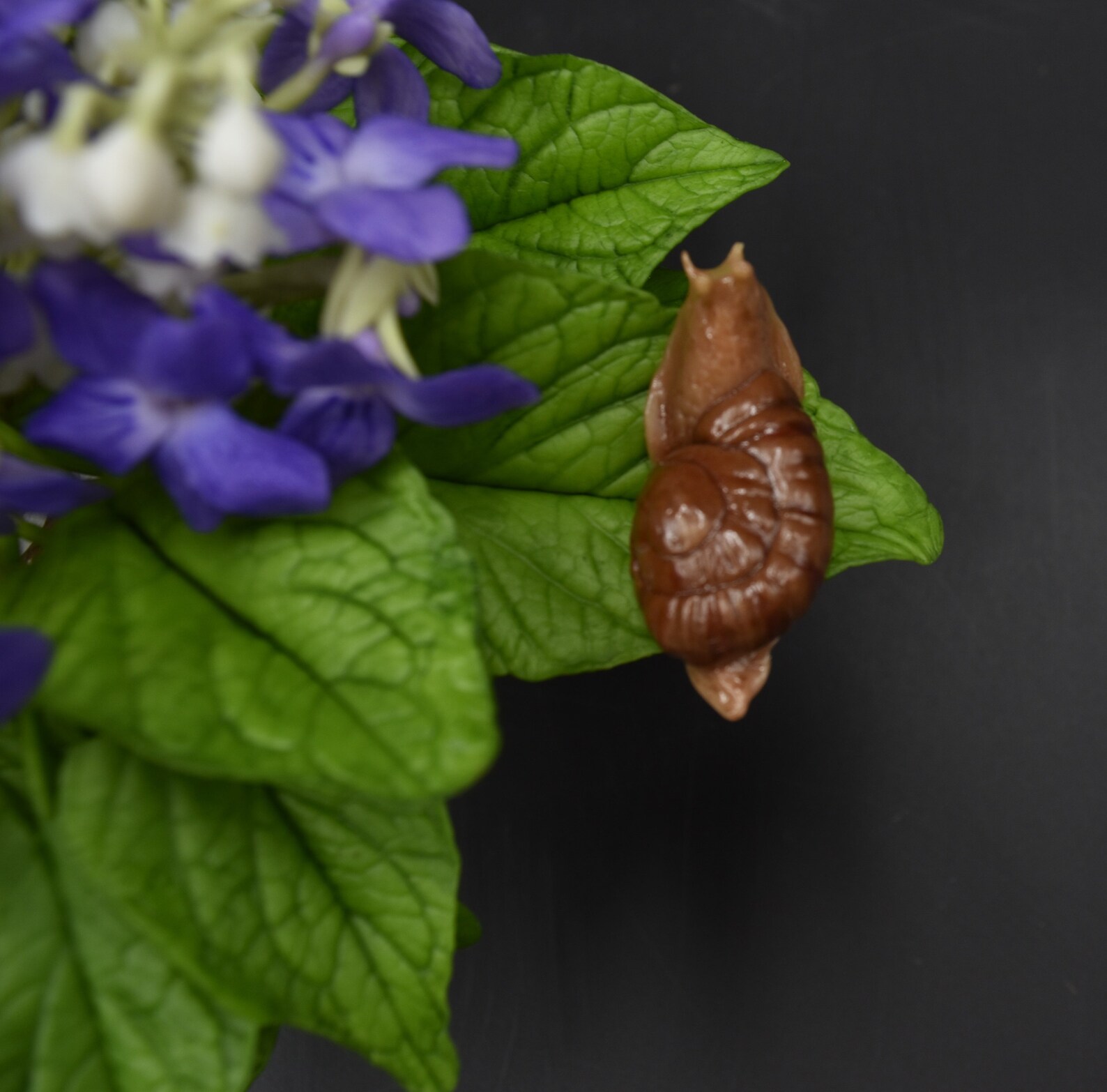 Miniature Snails Polymer Clay Accessories for the Dollhouse Snail ...