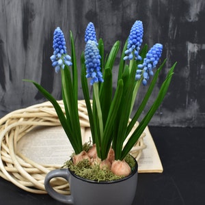Cold Porcelain Muscari Flower Arrangement: Botanical Sculpture Gift - Etsy