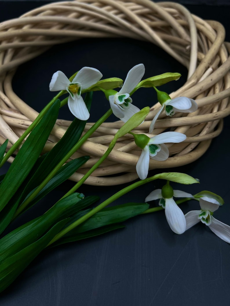 Cold Porcelain Snowdrop: Spring Floral Sculpture, Real Touch Flower ...
