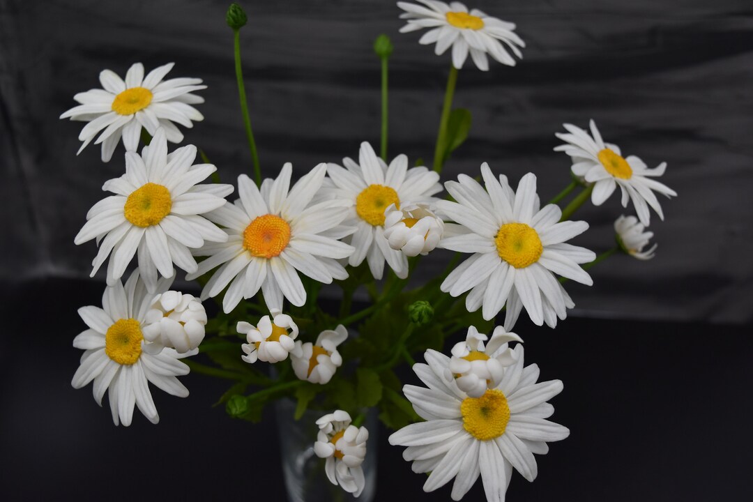 Cold Porcelain Chamomile Bouquet: Botanical Art, Rustic Wedding Decor ...