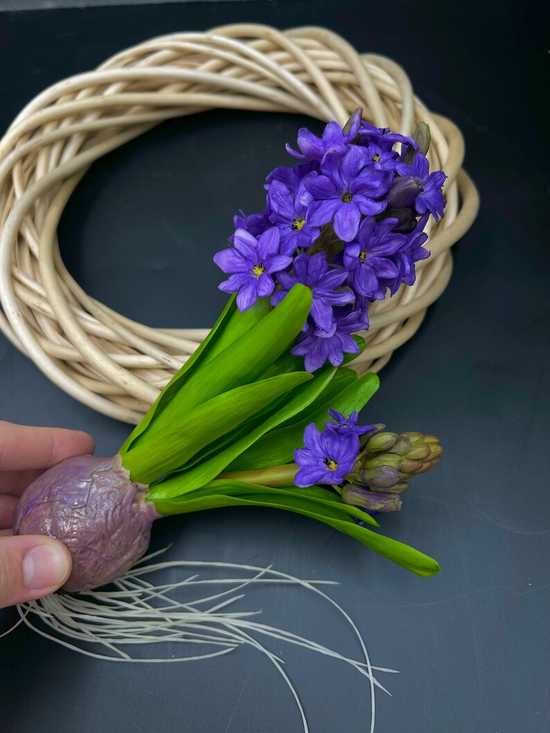 Hyacinth Real Touch Violet Hyacinth Hand Sculpted Hyacinth - Etsy