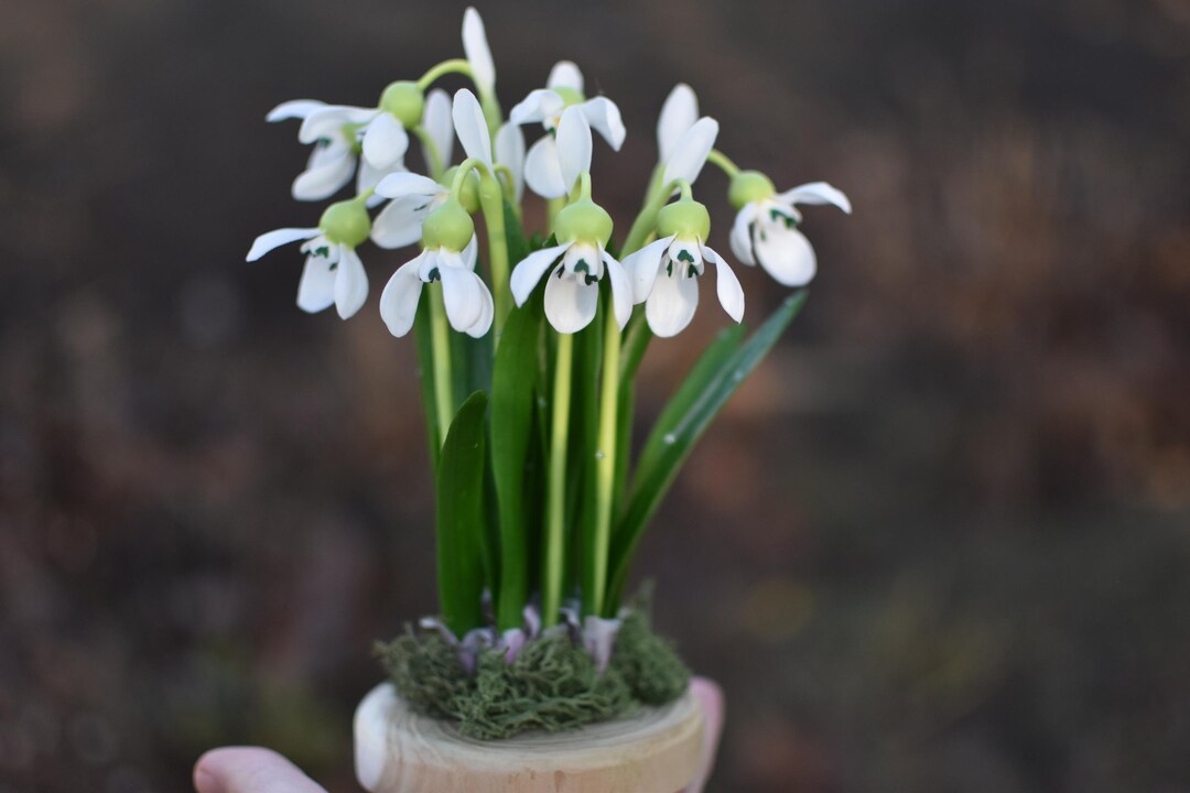Snowdrop Cold Porcelain Flowers Real Touch Flowers Artificial Snowdrops ...
