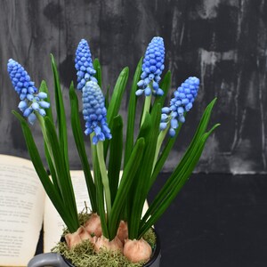 Cold Porcelain Muscari Flower Arrangement: Botanical Sculpture Gift - Etsy
