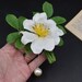 Brooch Wild Rose Cold Porcelain Rosa Canina Wedding Rose Boho Brooch ...