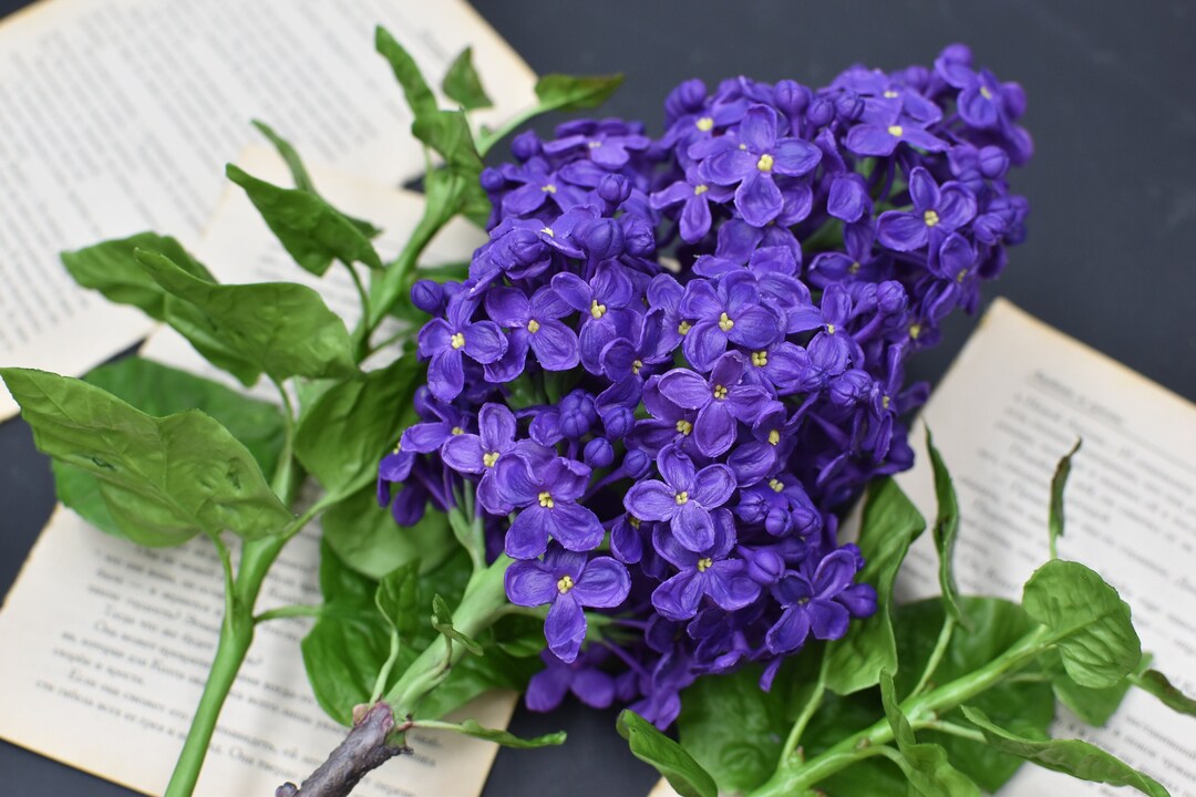 Cold Porcelain Lilac Bouquet: Handmade Clay Flower Arrangement - Etsy