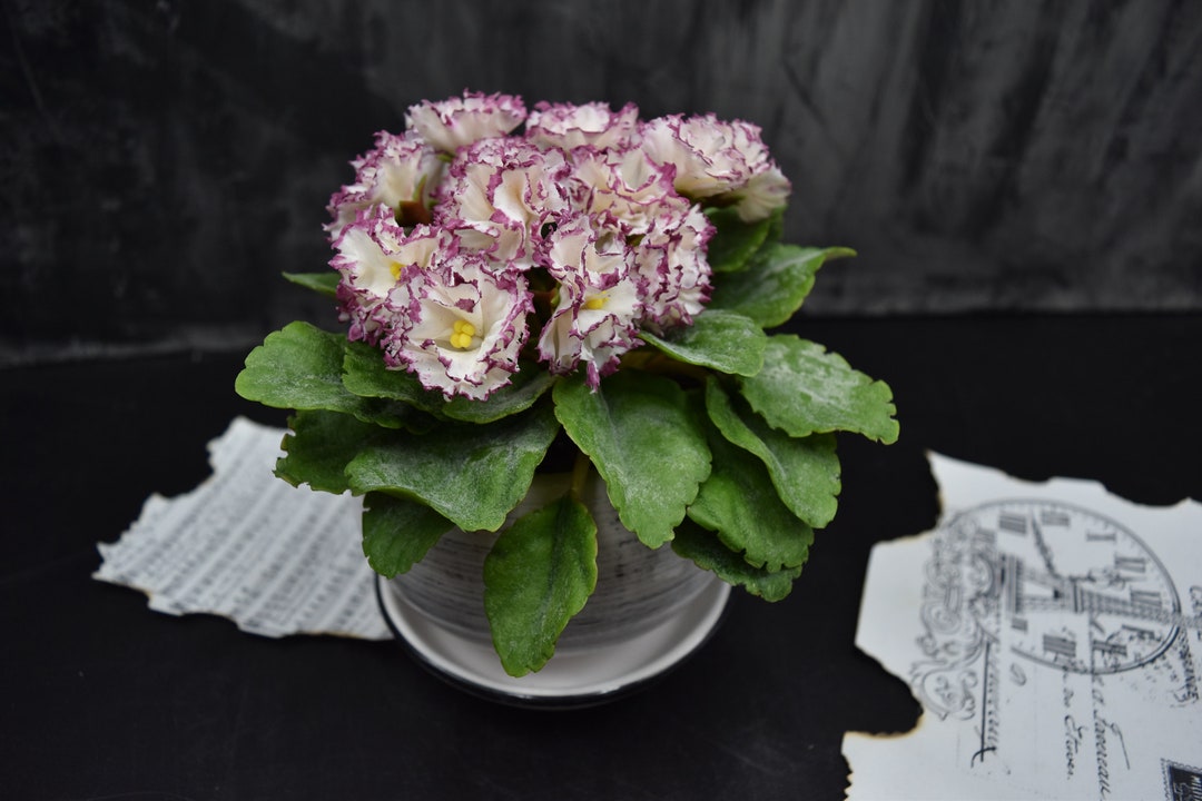 Polymer Clay Violet in Pot: Realistic Botanical Sculpture - Etsy