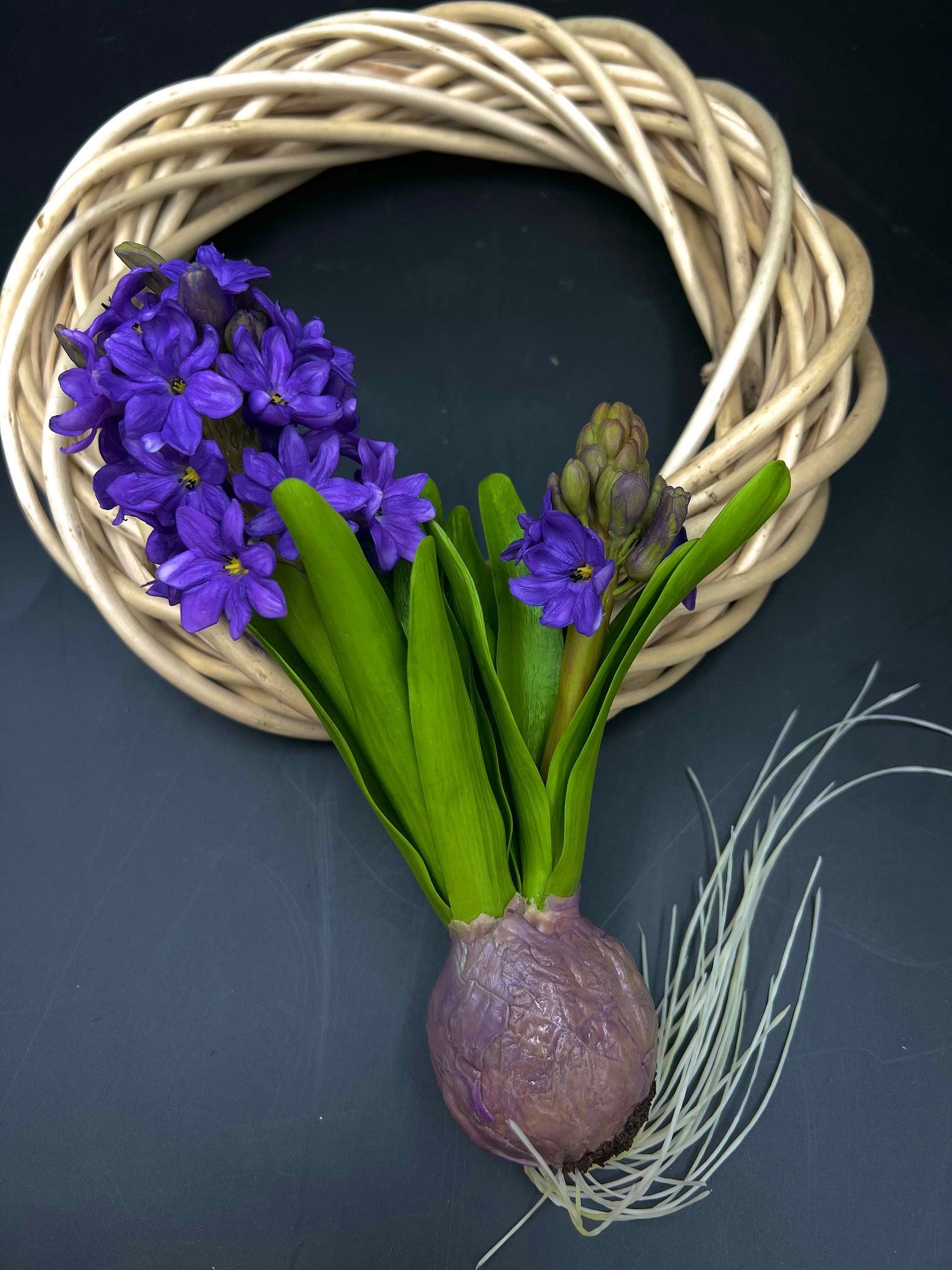 Hyacinth Real Touch Violet Hyacinth Hand Sculpted Hyacinth - Etsy