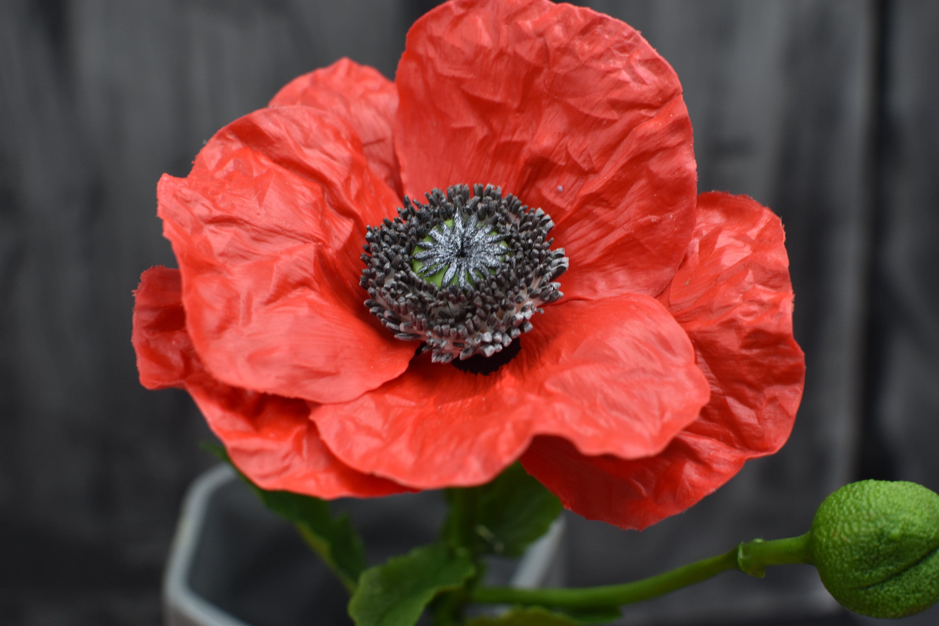 Red Cold Porcelain Poppy: Handmade Clay Flower Sculpture - Etsy