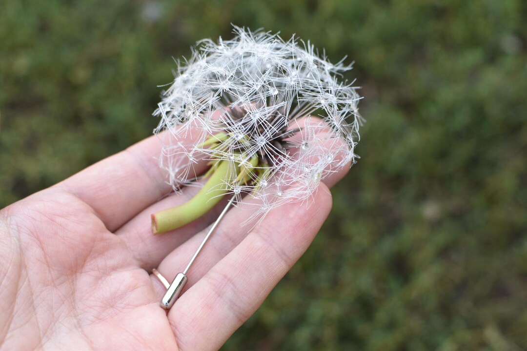 Handmade Silk Dandelion Brooch: Botanical Lapel Pin - Etsy