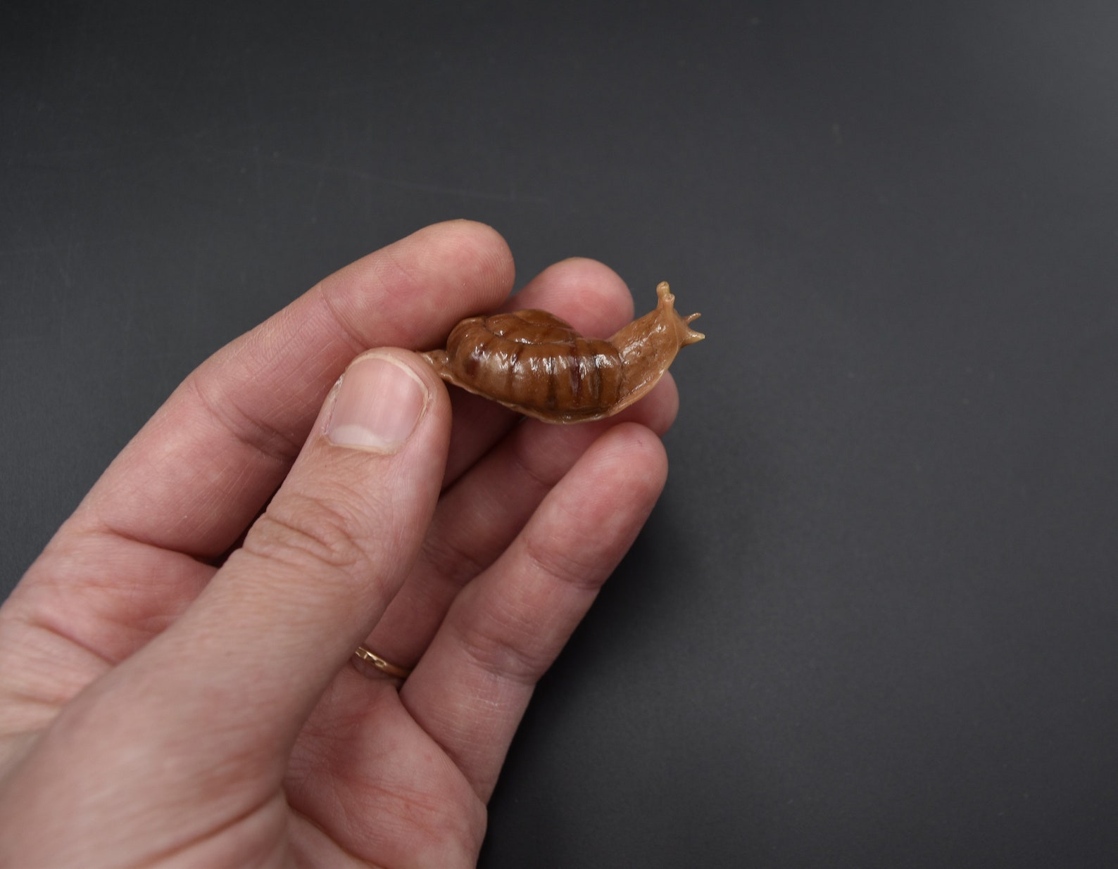 Miniature Snails Polymer Clay Accessories for the Dollhouse Snail ...