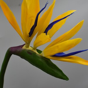 Strelitzia Clay Strelitzia Cold Porcelain Yellow Bird of Paradise ...