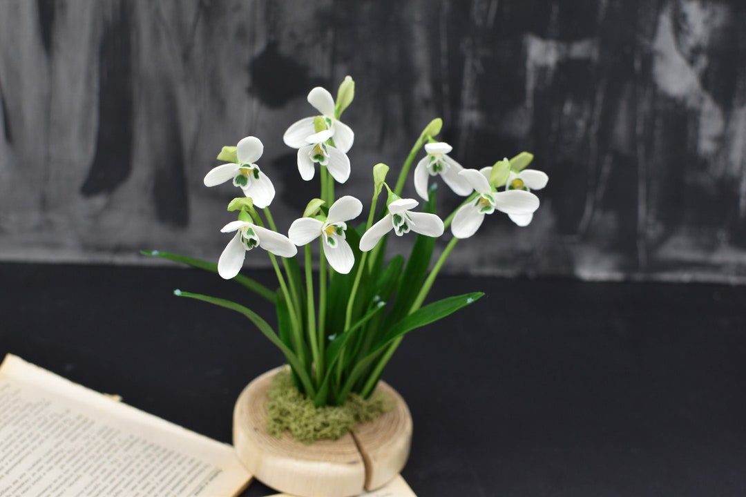 Cold Porcelain Snowdrop Arrangement: Botanical Sculpture, Spring Decor ...
