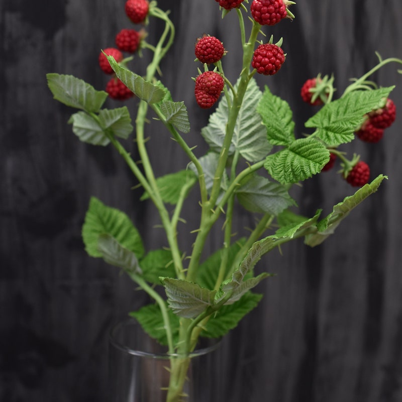 Raspberry Decor - Etsy