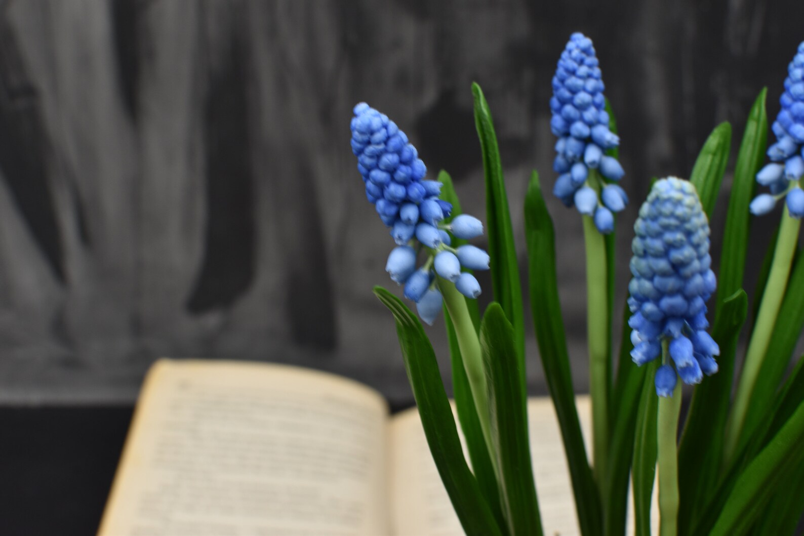 Cold Porcelain Muscari Flower Arrangement: Botanical Sculpture Gift - Etsy