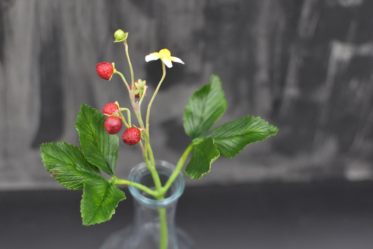 Wild Strawberry Cold Porcelain Forest Berry Polymer Clay Real - Etsy