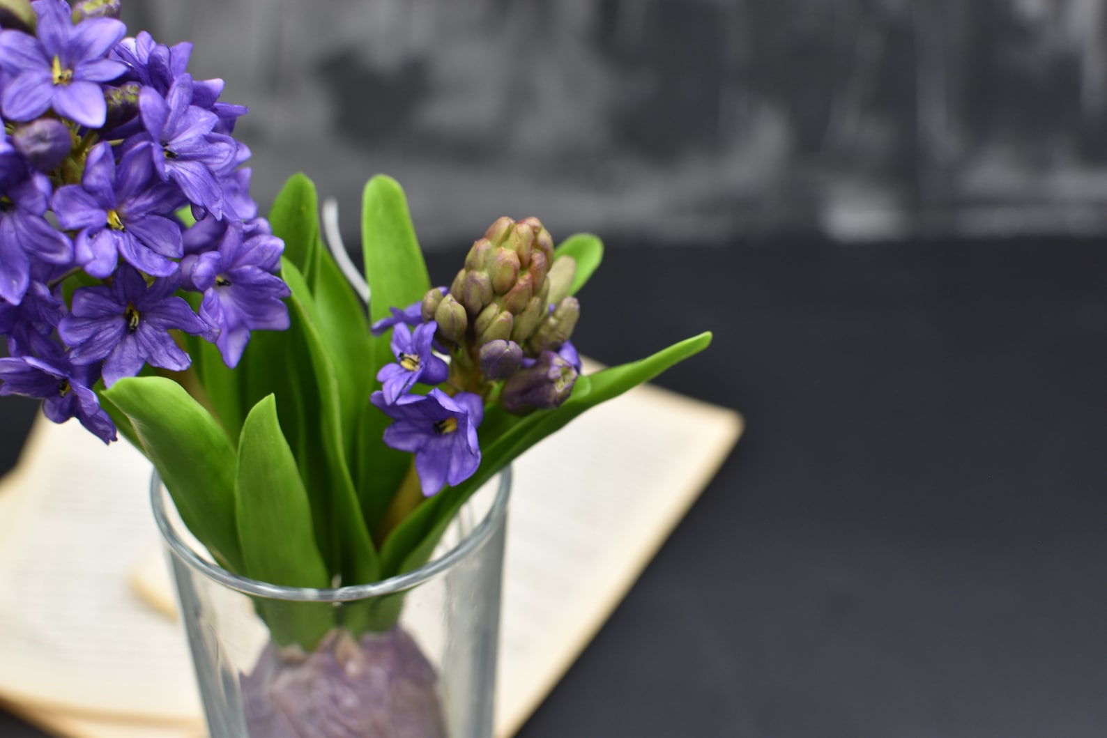 Hyacinth Real Touch Violet Hyacinth Hand Sculpted Hyacinth - Etsy