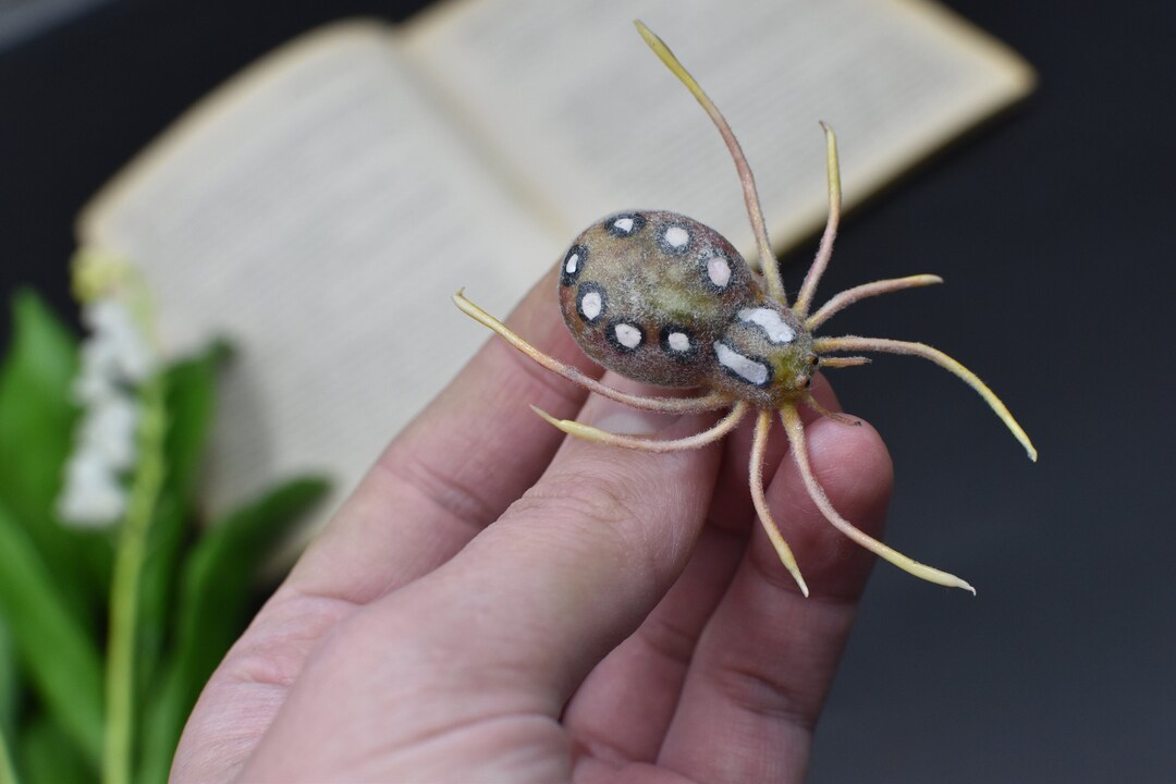 Spider Pin Spider Miniature Brooch Realistic Spider Clay - Etsy