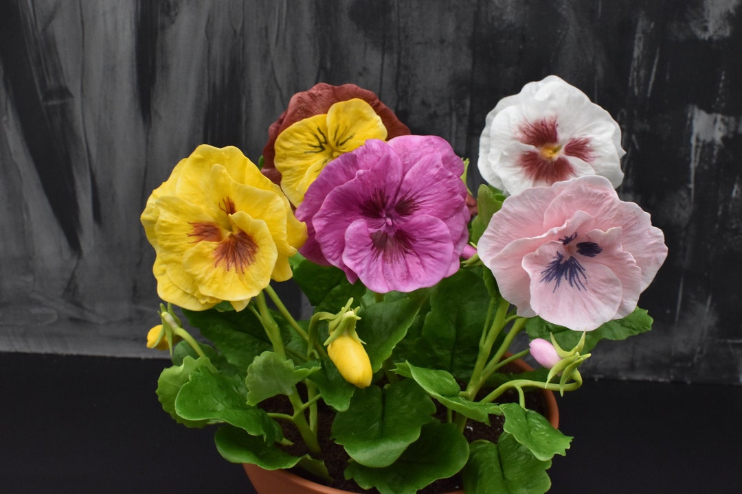 Handmade Polymer Clay Pansies Bouquet: Botanical Sculpture - Etsy