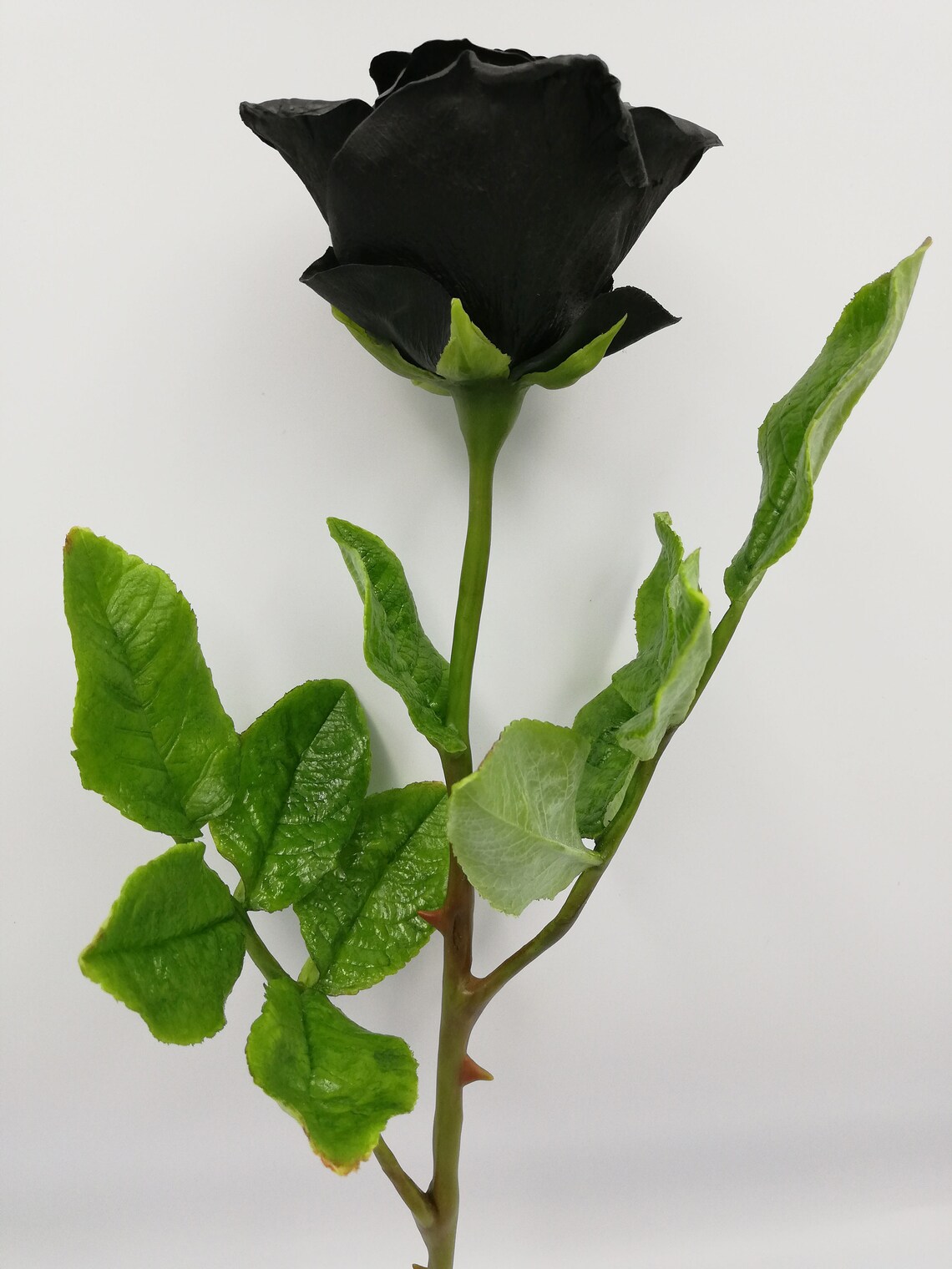 Black Rose Clay Rose Porcelain Flowers Ceramic Flower Clay | Etsy