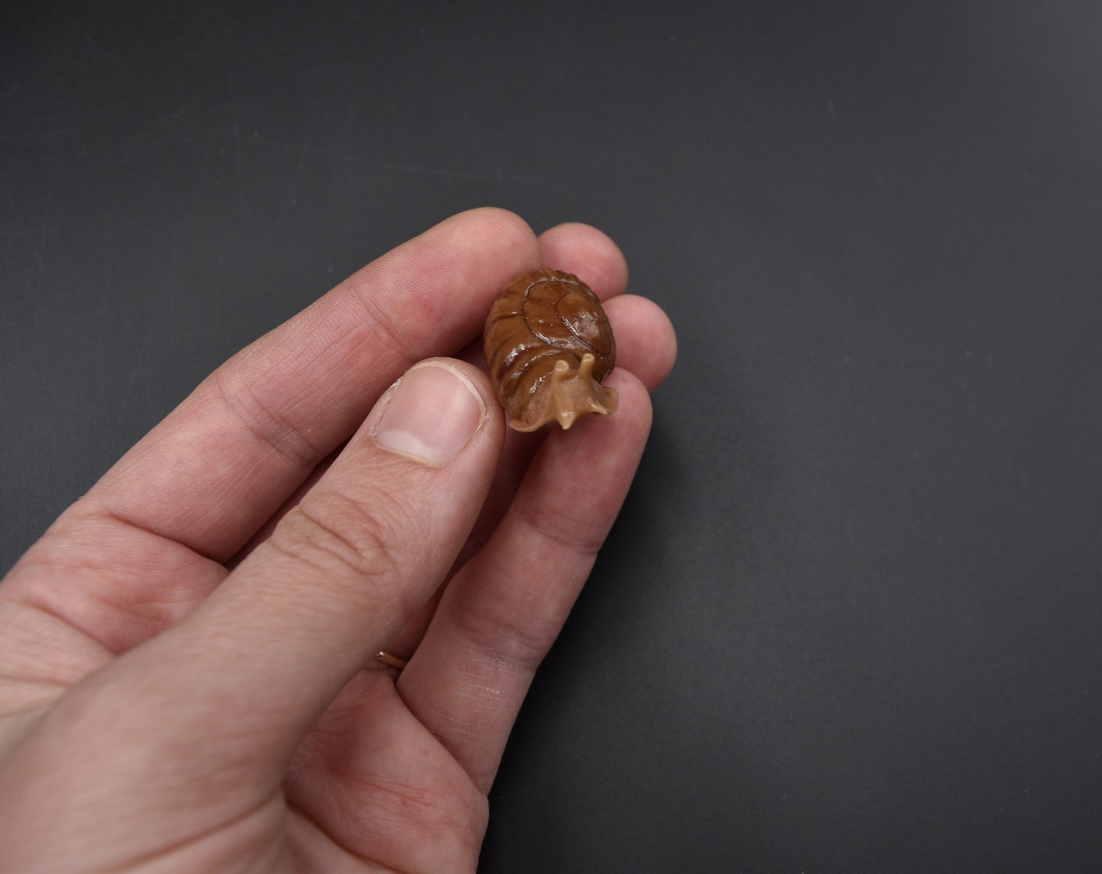 Miniature Snails Polymer Clay Accessories for the Dollhouse Snail ...