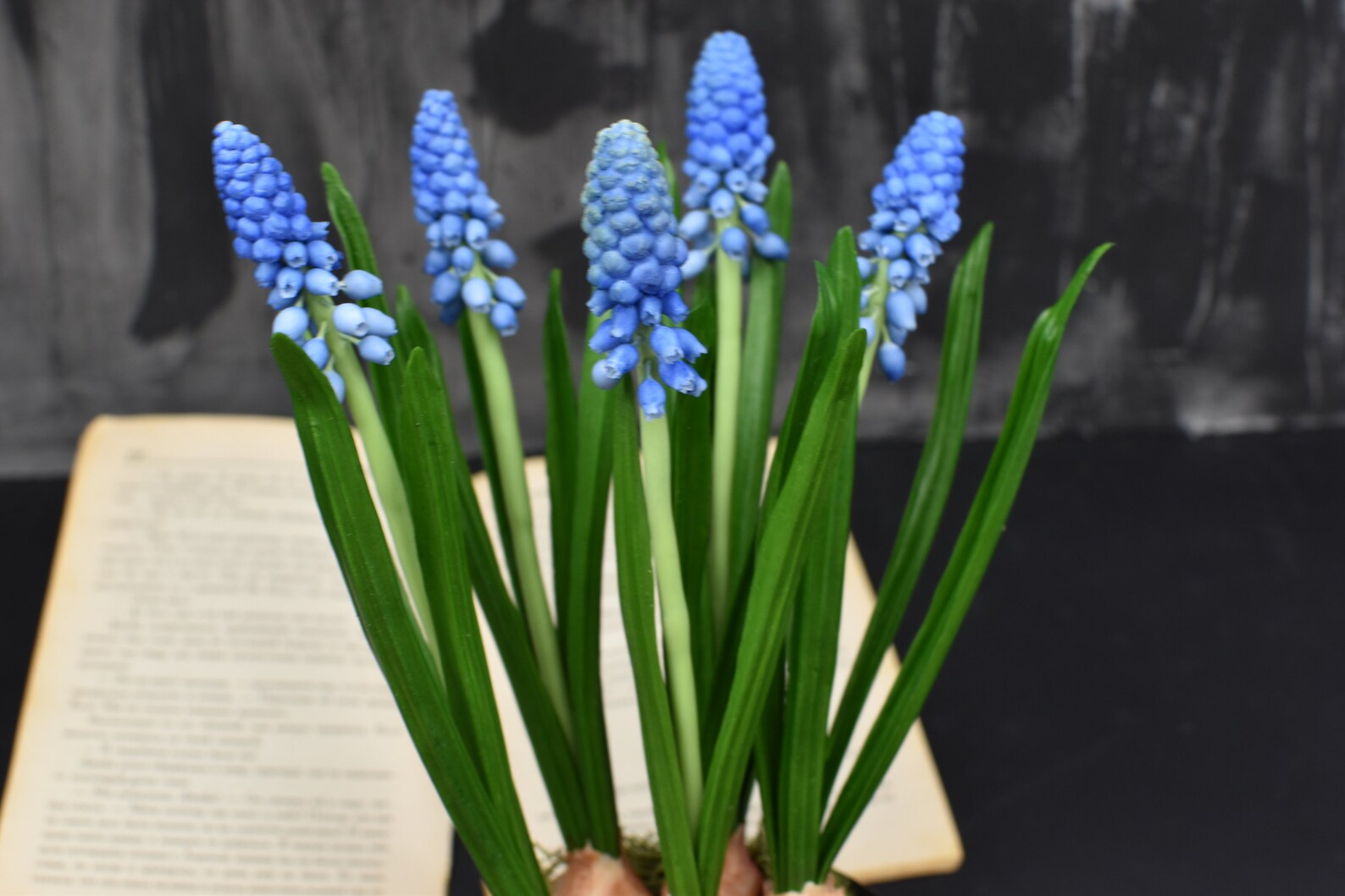 Cold Porcelain Muscari Flower Arrangement: Botanical Sculpture Gift - Etsy