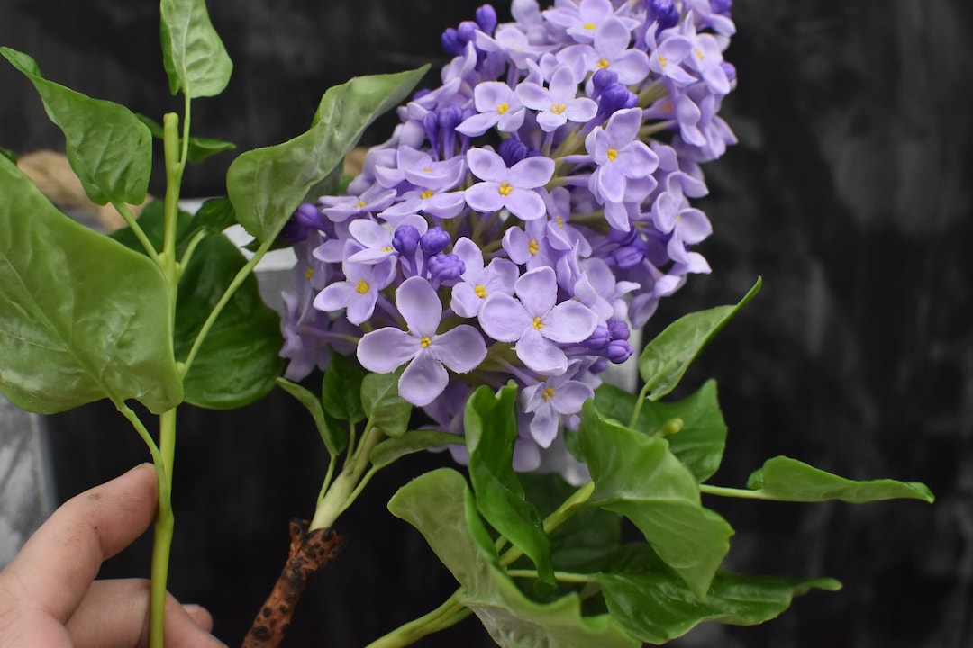 Handmade Cold Porcelain Lilac Bouquet: Shabby Chic Floral Arrangement ...