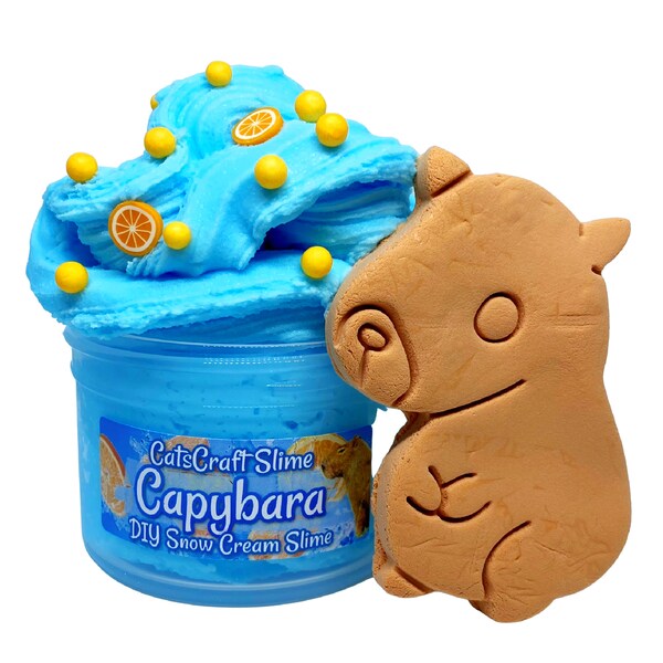 Capybara Slime Toys - Etsy