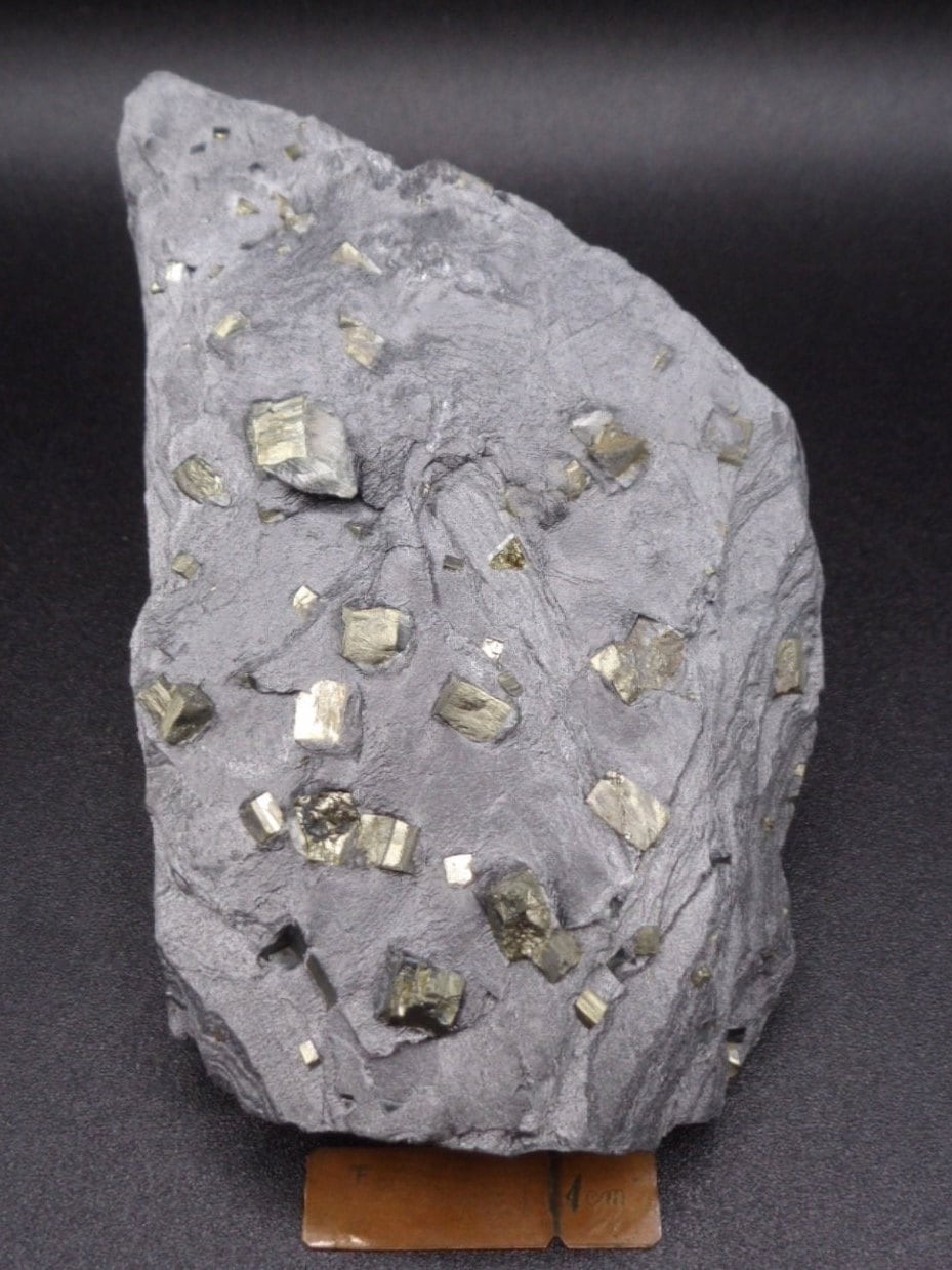 Pyrite Crystals in Graphitic Slate From Waterville Quarry, Compton ...