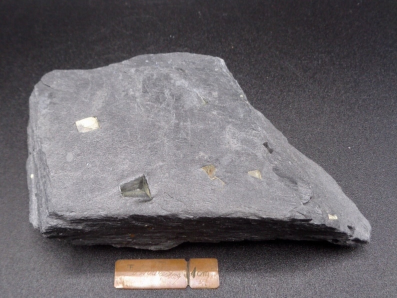 Pyrite Crystals in Graphitic Slate From Waterville Quarry, Compton ...