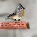 Bird Finch Patch for Bags and T-shirts. Cute Iron on Embroidery ...