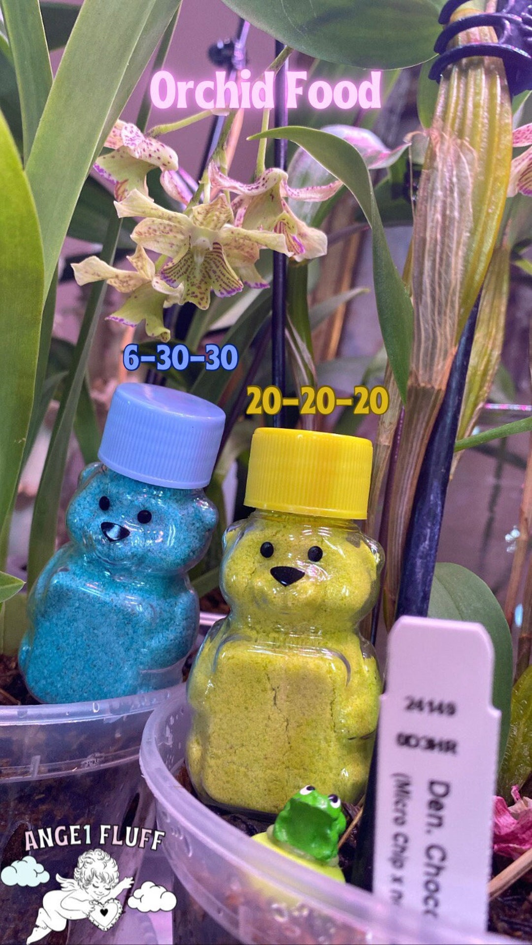 Orchid Food Fertilizer : 20-20-20 Soil Maintenance & 6-30-30 Flower ...